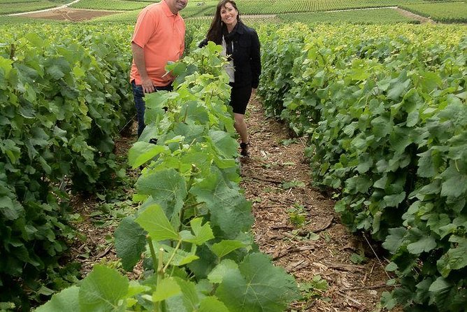 Champagne Area Small-Group Tour Including a Top Champagne House & Family Winery - Moet & Chandon Cellar Experience