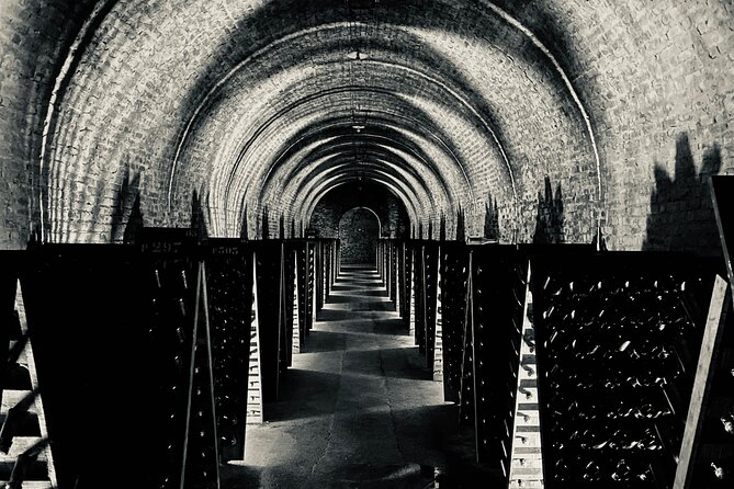 Champagne Cellars & Vineyards Tour From Reims Full Day - Tour Experience and Reviews
