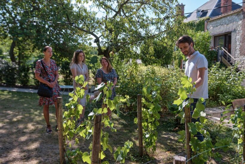 Champagne: Champagne Tasting Class with Lunch - The Sum Up