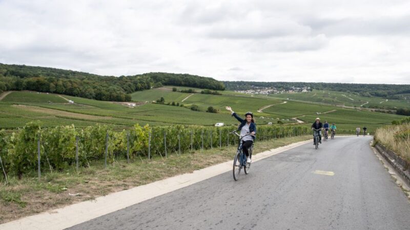 Champagne: E-Bike Champagne Day Tour with Tastings and Lunch - Who Should Consider This Tour?