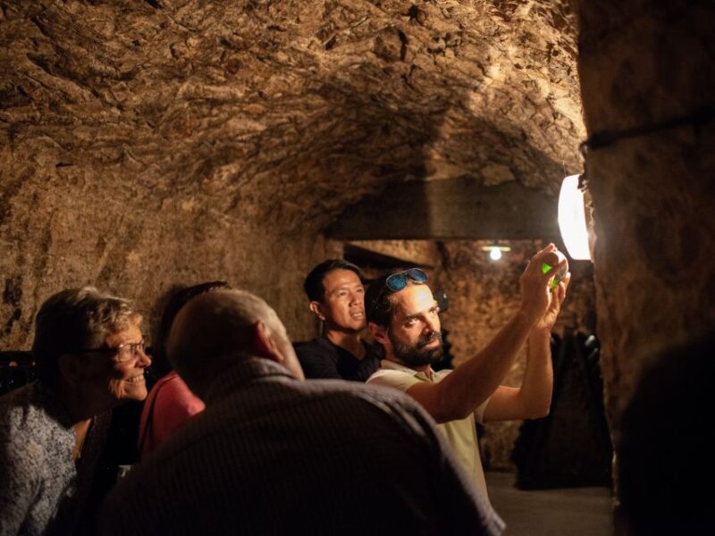 Champagne: E-Bike Champagne Day Tour with Tastings and Lunch - Final Thoughts