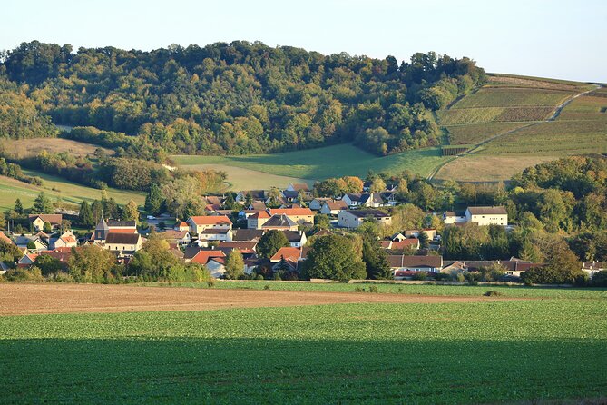 Champagne Guy De Chassey : Premium Tour and Tasting - Visiting the Vineyards and Seasonal Insights