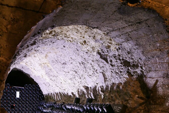 Champagne Guy De Chassey : Premium Tour and Tasting - Who Will Love This Experience?