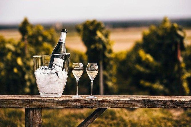 Champagne Lamiable: Stroll and Taste in the Grand Cru Champagne Vineyard - The Picturesque Vineyard Lodge