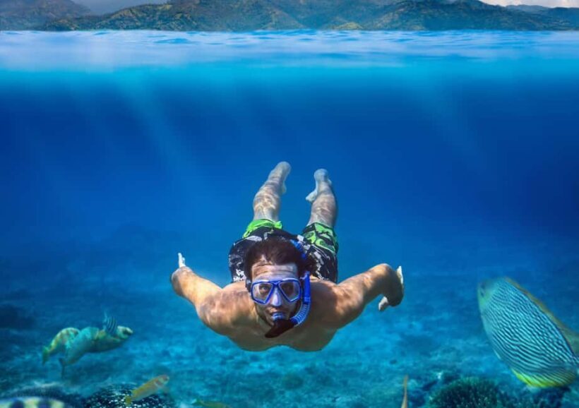 Champagne & Lobster Snorkeling Cruise - The Sum Up