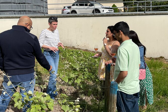 Champagne Munoz Bruneau : Half Day Visit and Tasting - Guide Expertise and Experience