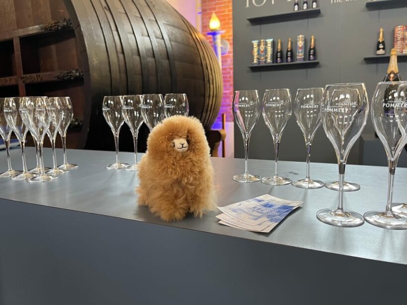 Champagne Private Day Trip: Epernay & Reims 9 glasses - Final Thoughts