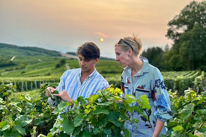 Champagne Private VIP Wine Day Trip With Michelin Lunch - Champagne Tasting Experience