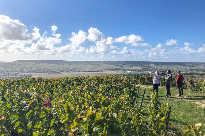 Champagne Private VIP Wine Day Trip With Michelin Lunch - Booking and Pricing Information