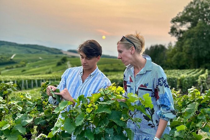 Champagne Private Wine Day Trip With Lunch and Wine Tastings - Key Points