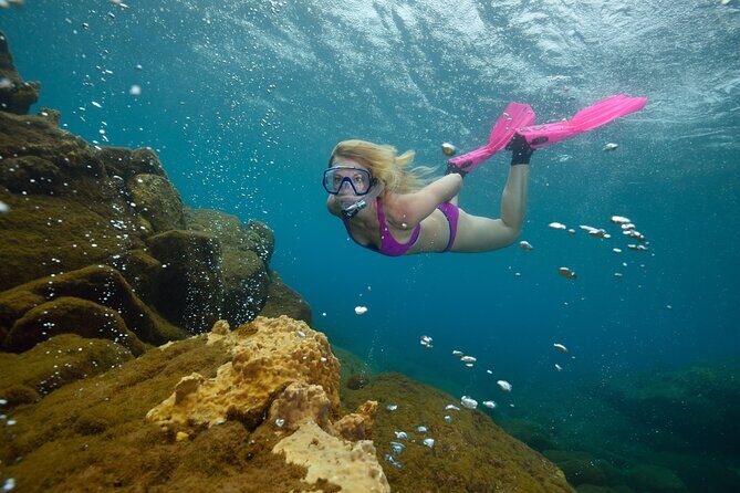 Champagne Reef, Bubble Beach and Scotts Head Snorkeling tour by boat in Dominica - Practical Tips for Your Trip