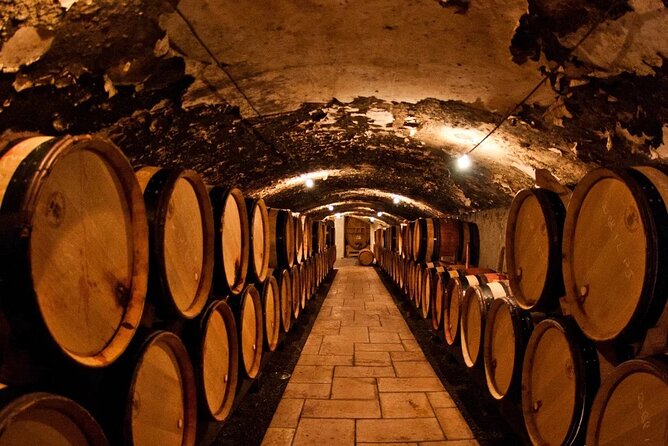 Champagne Region excursion from Paris with Private Driver - Key Points