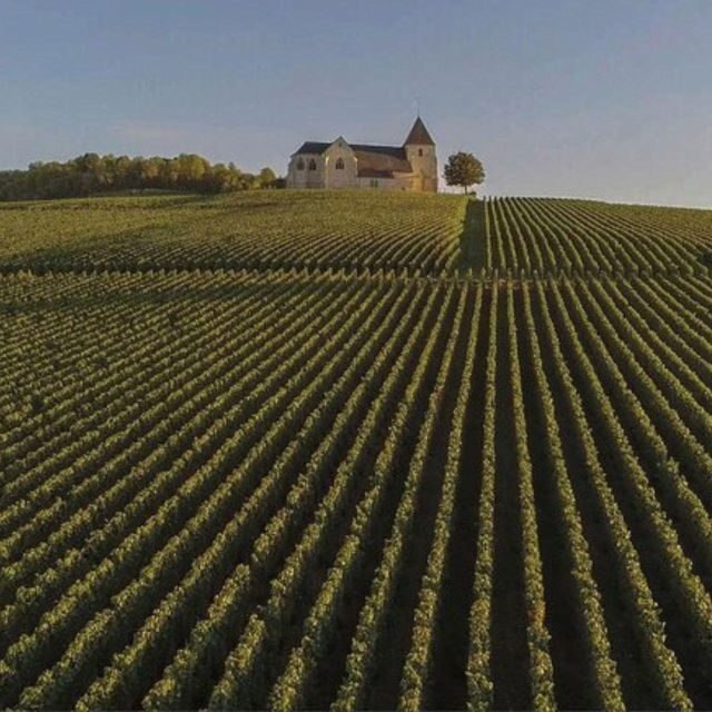 Champagne Region from Paris: Reims and Champagne Tasting - Experience the Charm of France’s Champagne Region: Reims and Champagne Tasting