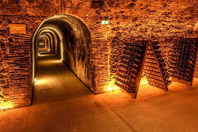 Champagne Small-Group Day Trip With Lunch and Tastings From Paris - Transportation and Logistics