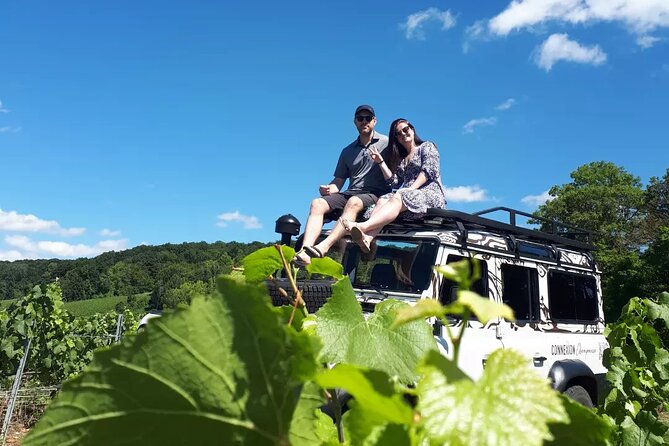 Champagne Tasting, Panoramic Walk in the Vineyards - Tour Highlights and Reviews