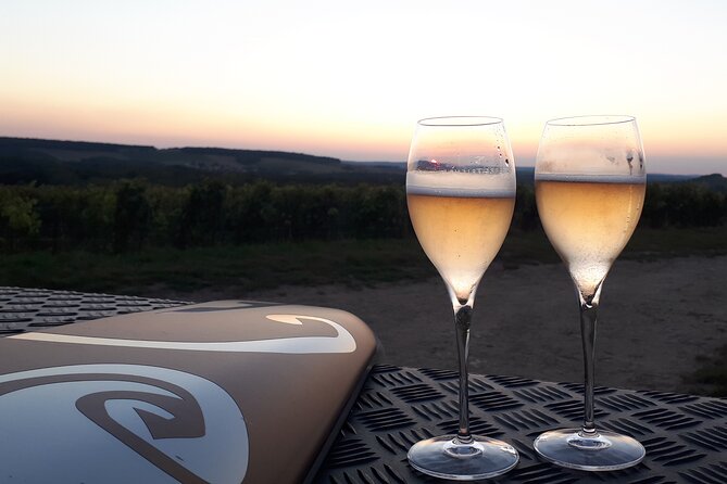 Champagne Tasting, Panoramic Walk in the Vineyards - Booking Information