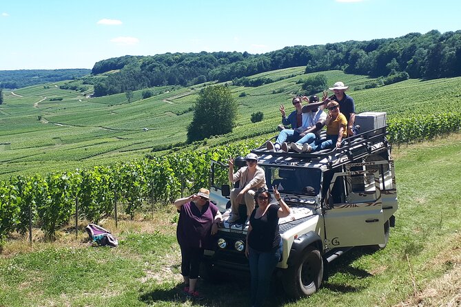 Champagne Tasting, Panoramic Walk in the Vineyards - Capturing the Scenic Views