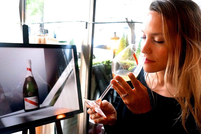 Champagne Tour From Paris by Minivan With Reims Cellars & Champagne Tasting - Transportation and Accessibility