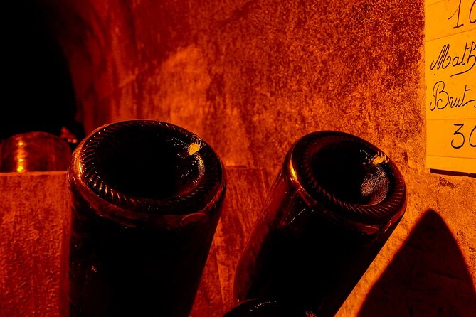 Champagne Tour - Private Day Trip From Paris - Highlights of the Champagne Houses