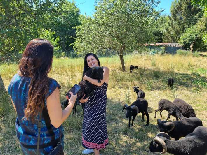 Champagne Vineyard Experience: Explore the terroir - Final Thoughts