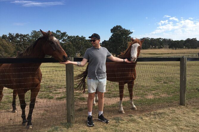 Champion Racehorse Tour with Beer and Wine Tasting - Key Points