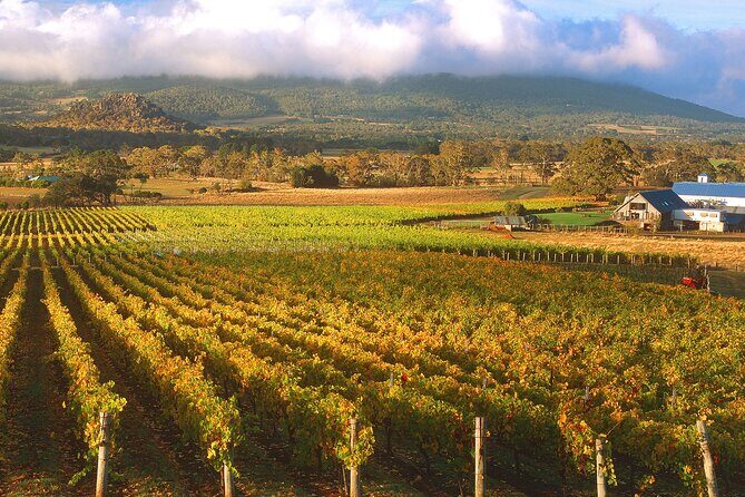 Champion Racehorse Tour with Beer and Wine Tasting - What You Can Expect from the Tour