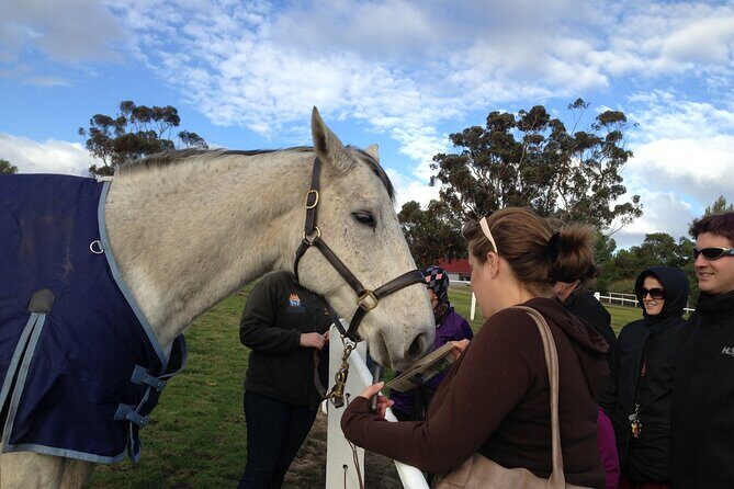 Champion Racehorse Tour with Beer and Wine Tasting - Who Will Love This Tour?