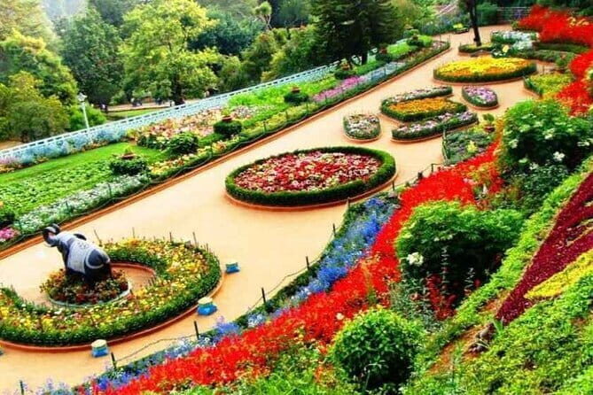 Chandigarh Private Full Day Tour - A Full Day of Exploring Chandigarh’s Garden and Cultural Gems