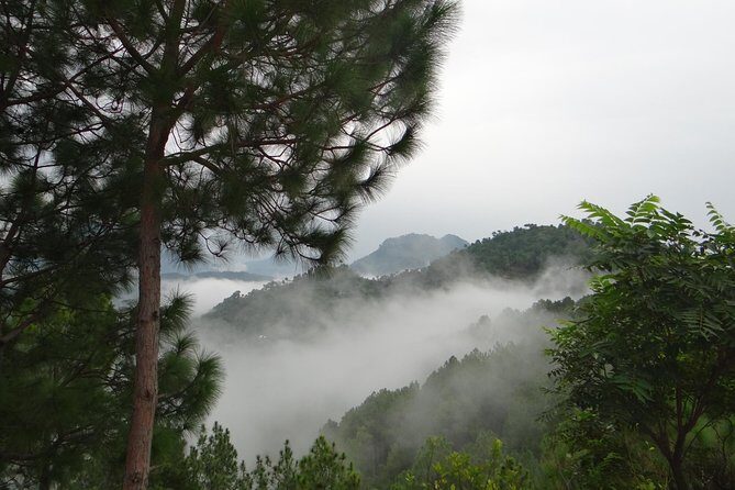 Chandigarh to Shimla Hill Station 4-Days Private Tour - Frequently Asked Questions