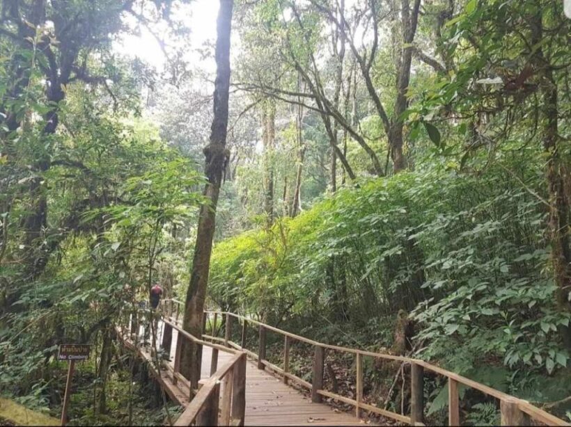 Chang Mai: Doi Inthanon Day Tour w/Waterfalls & Hilltribes - A Deep Dive into the Doi Inthanon Day Tour