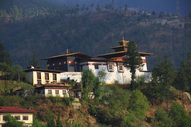 Changangkha Buddha Dordenma Cycling Tour (half Day) - Why This Tour Offers Good Value