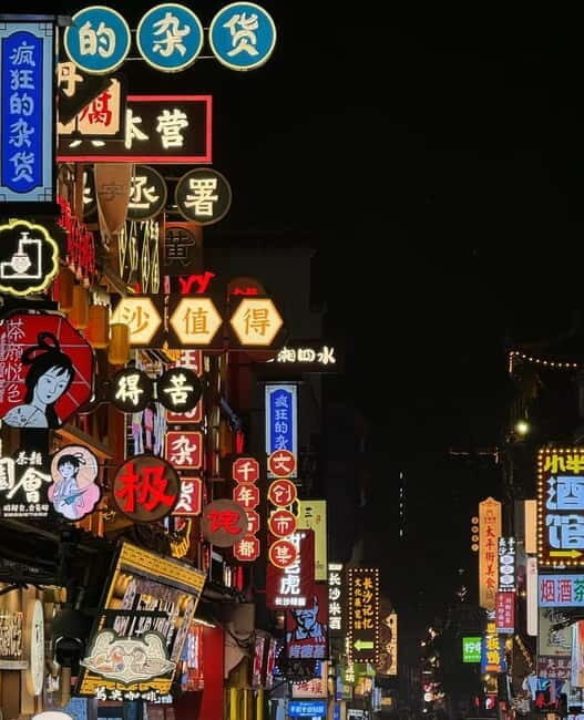 Changsha: Hunan Museum, Fan Painting Workshop & Night Market - Who Will Love This Tour?