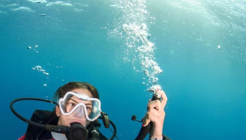 Chania: 2 Boat Dives for Certified Divers - The Itinerary in Detail