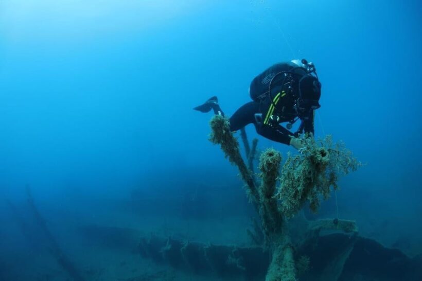 Chania: 2 Boat Dives for Certified Divers - FAQ