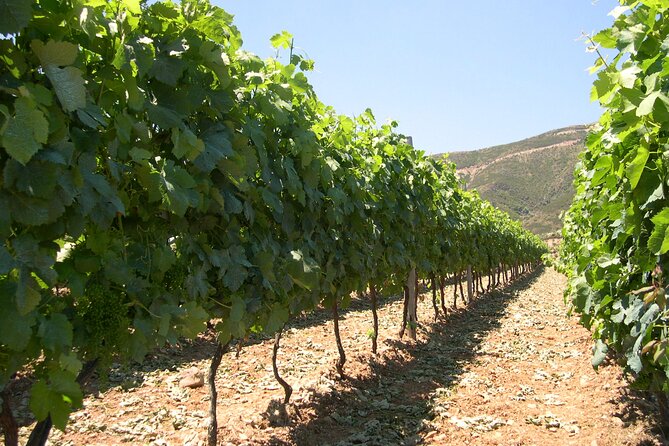 Chania 4x4 Sunset Safari Tour - Return and Reflection