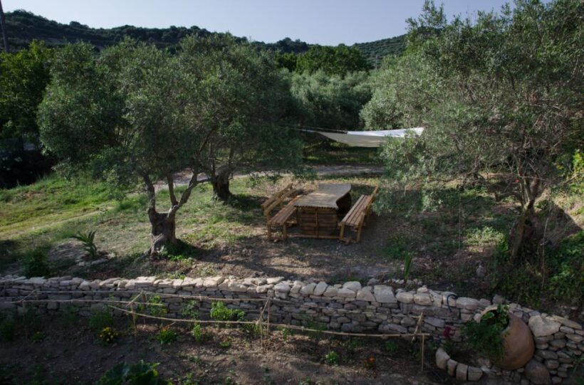 Chania: 5-Wine Tasting with Locals in Village near Kissamos - Who Will Love This Tour?