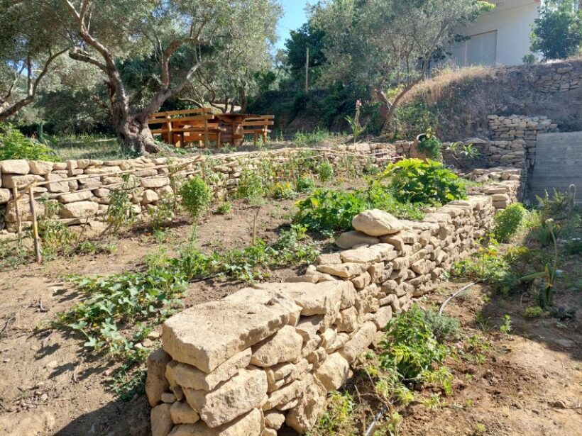 Chania: 5-Wine Tasting with Locals in Village near Kissamos - FAQ