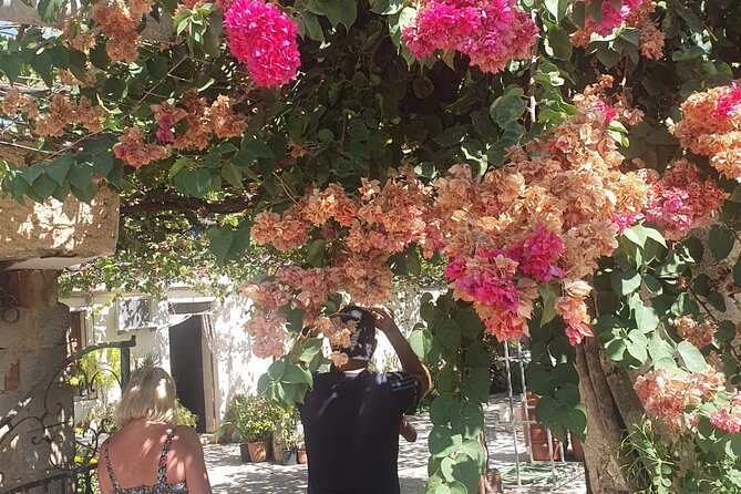 Chania Area: Cooking Class at a Farm in Stylos Village (organic) - The Cultural and Musical Touch