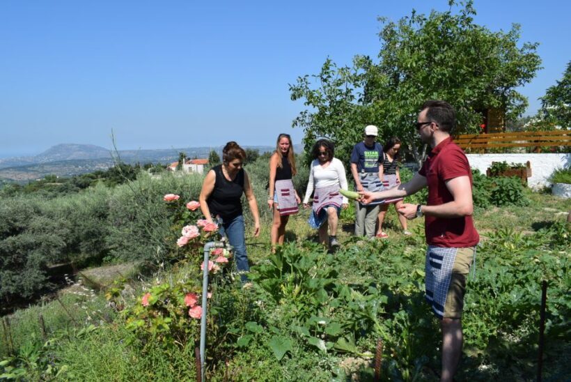 Chania: Authentic Cooking Class in the White Mountains - Vegetable Garden and Herb Gathering