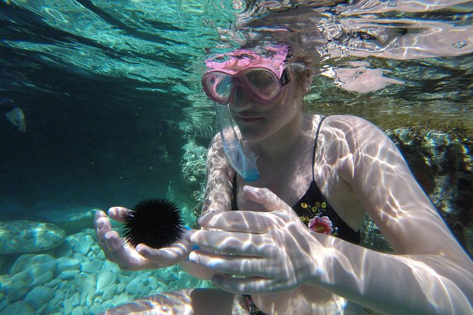 Chania: Boat Trip With Guided Snorkeling Tour & SUP - Participant Requirements