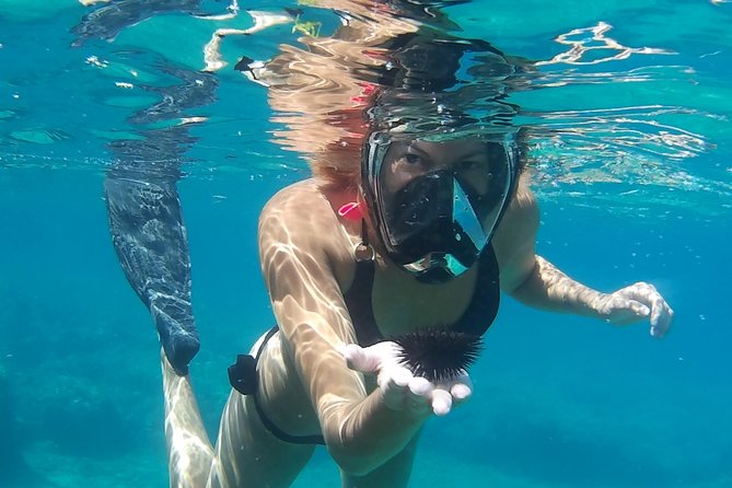 Chania: Boat Trip With Guided Snorkeling Tour & SUP - Customer Support and Policies