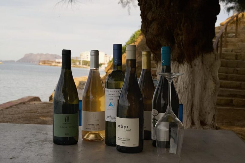 Chania: Discover Cretan grape varieties by the sea - An In-Depth Look at the Experience