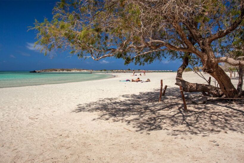 Chania: Elafonisi and Milia Mountain with Loungers and Lunch - Who Will Love This Tour?