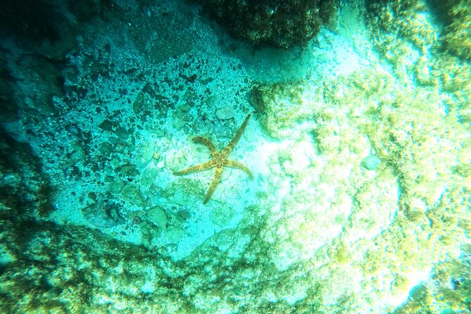 Chania Guided Snorkeling and Boat Excursion - Highlights of the Snorkeling Experience