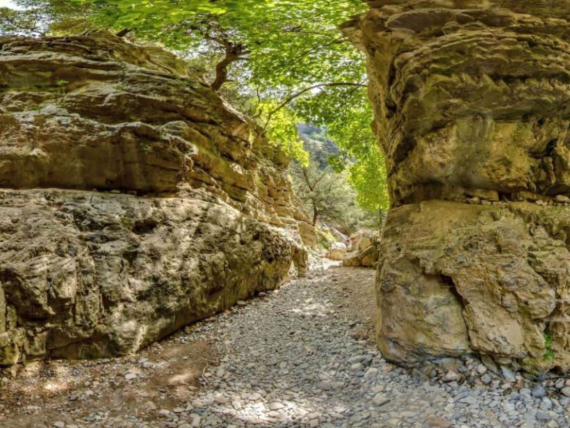 Chania: Imbros Gorge and Libyan Sea Day Tour - An In-Depth Look at the Tour