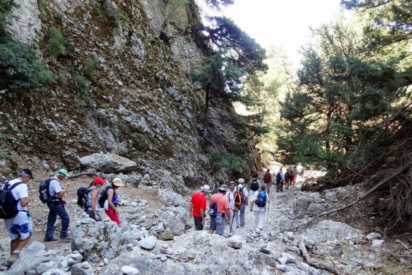 Chania: Imbros Gorge and Libyan Sea Day Tour - Who Is This Tour Best For?