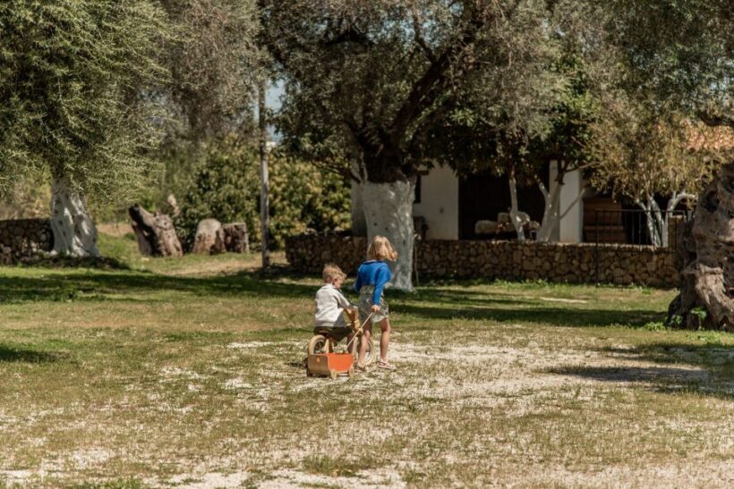 Chania Luxuries: Secrets of Wine and Olive Oil Tastings - Wine Tasting at the Karavitakis Winery