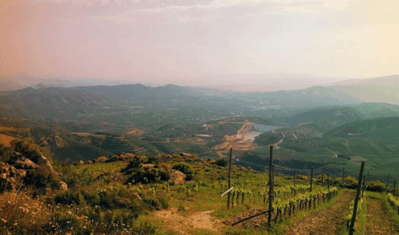 Chania Luxuries: Secrets of Wine and Olive Oil Tastings - What We Think Could Be Better