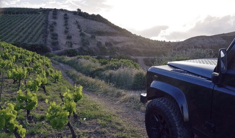 Chania Luxuries: Secrets of Wine and Olive Oil Tastings - FAQ