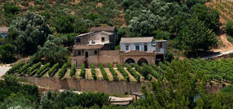 Chania: Milia Mountain Tour w/Lunch Olive Oil/Wine Tastings - FAQ
